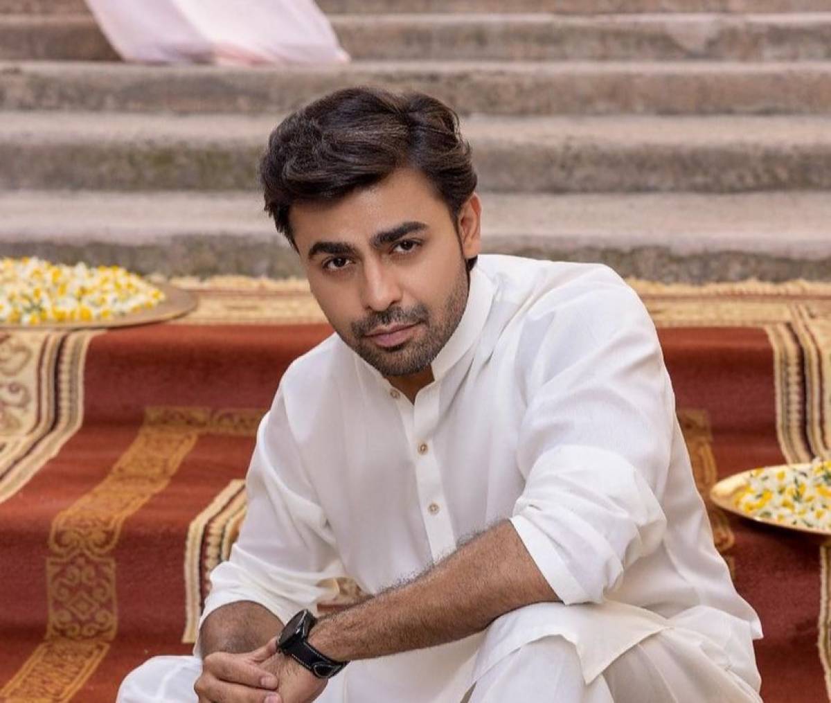 Prem Gali (ARY Digital) Drama Series Analysis: Story, Episodes, Cast ...