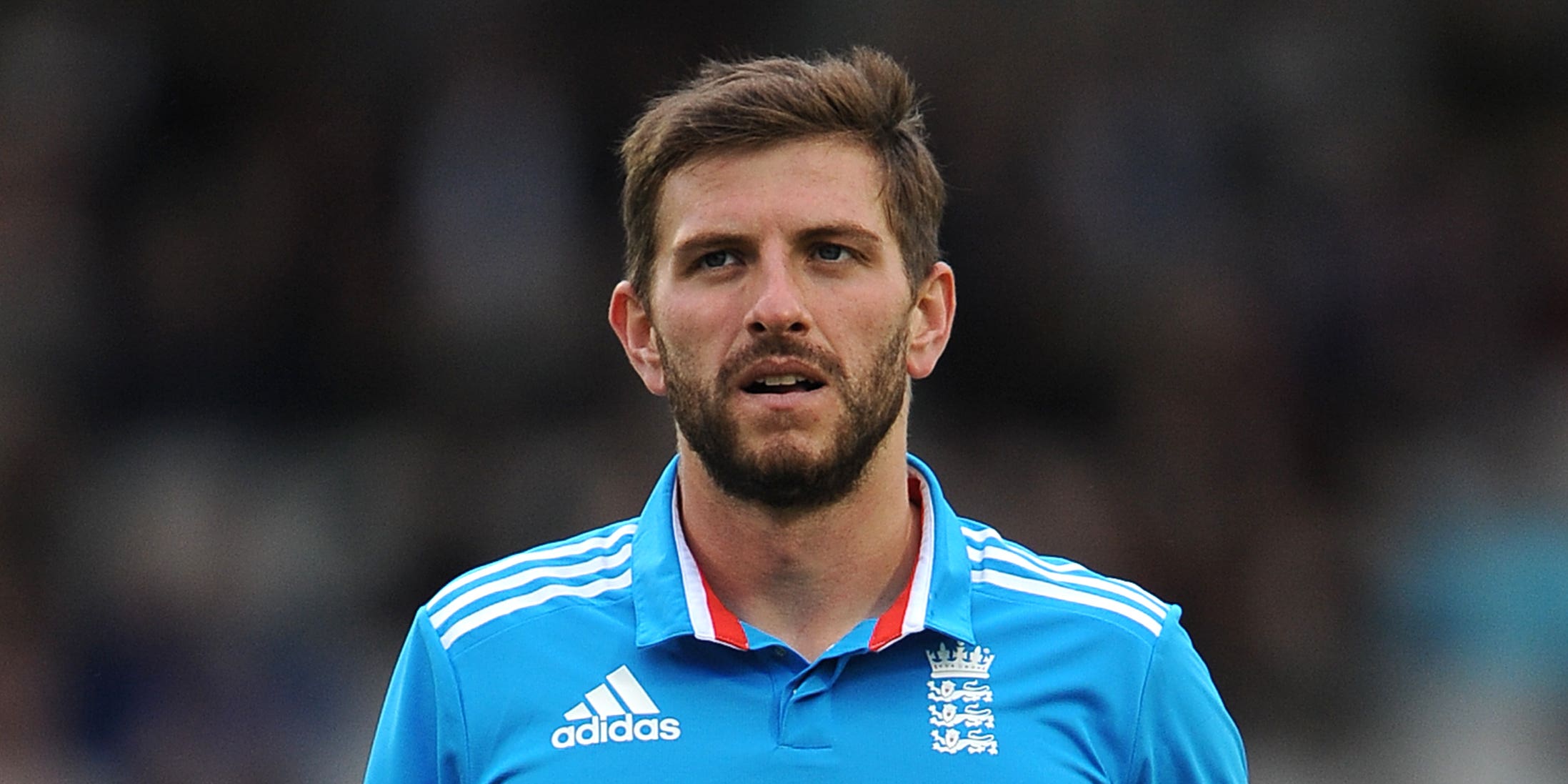 Harry Gurney Biography, Height, Weight, Age, Salary, Net Worth, Wife ...