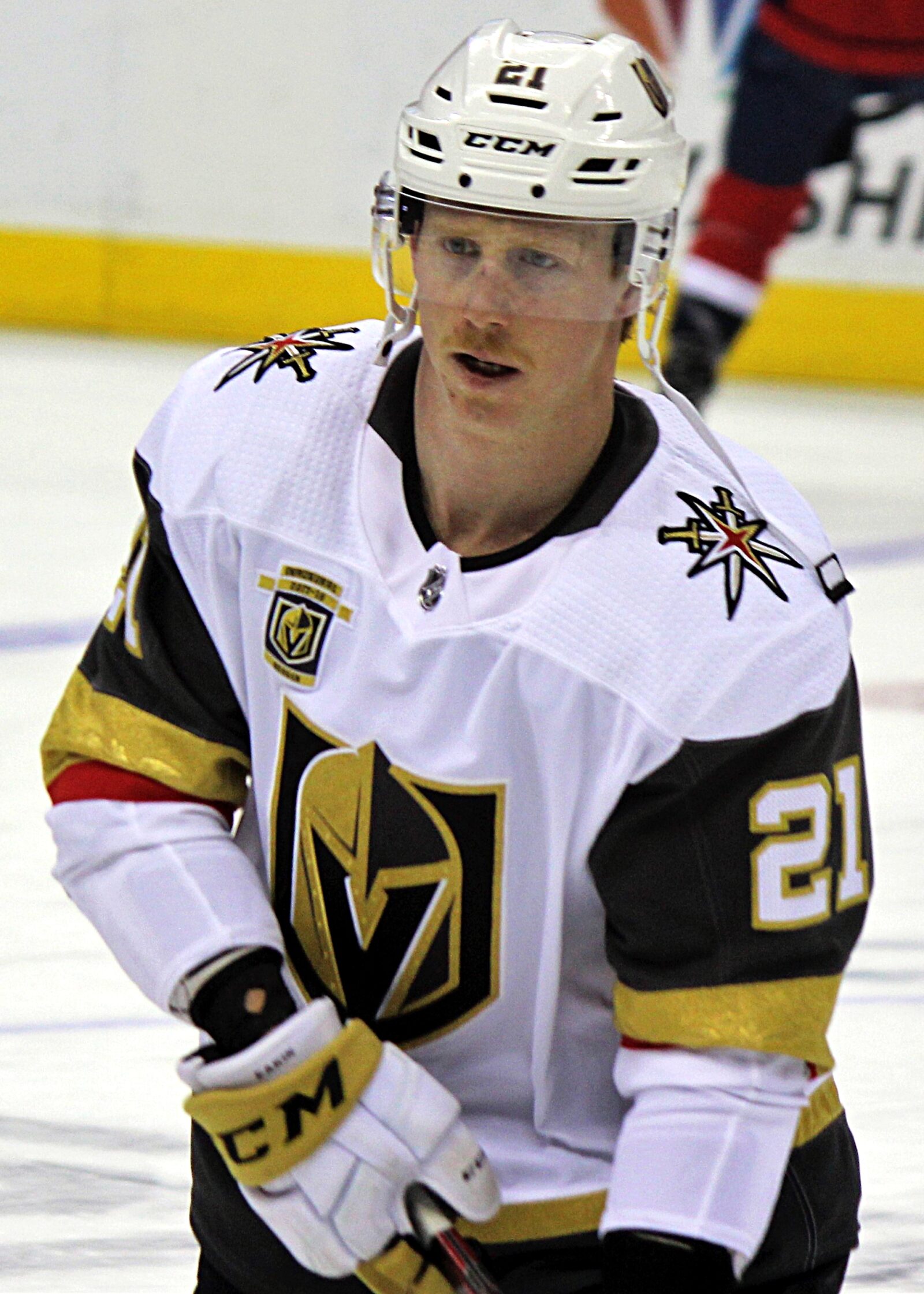 Alexander Holtz Biography, Height, Weight, Age, Stats, Wife, Salary ...