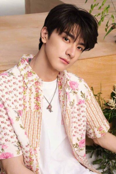 Lin Yi Biography, Height, Weight, Age, Movies, Wife, Family, Salary ...